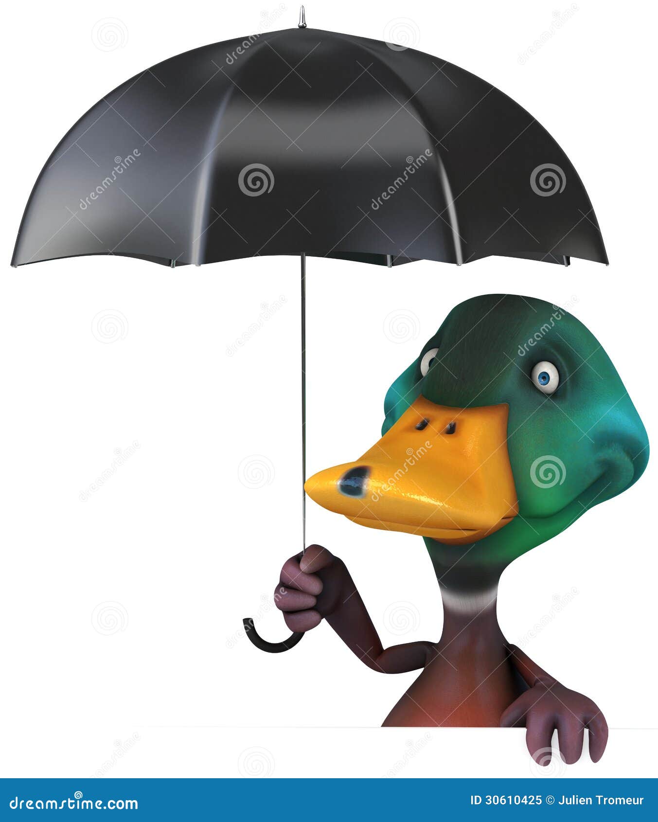 Nice Set Of Waterfowl Animated Animal Isolated On White Background. The ...