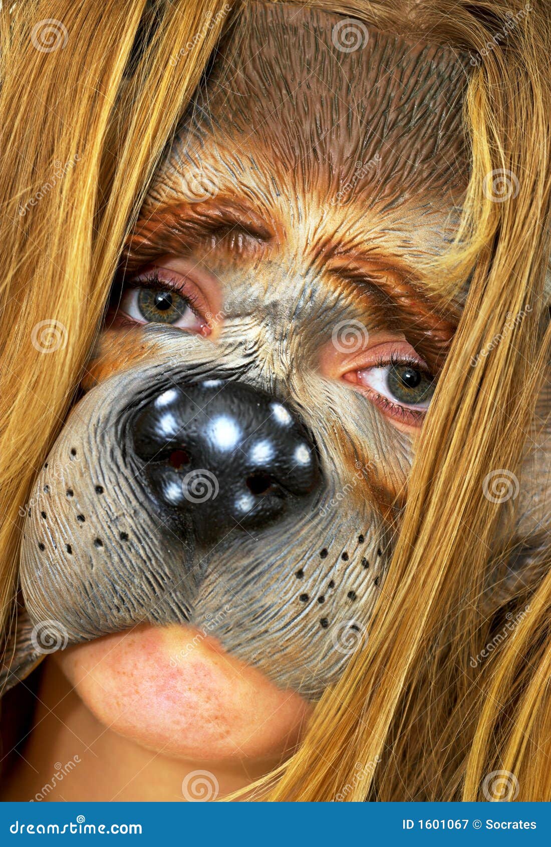 Fun Face Picture. Image: 1601067