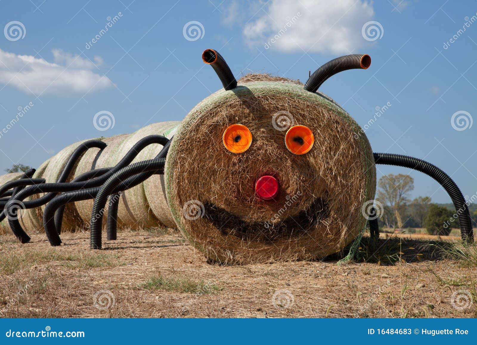 Fun hay stock image. Image of wheat, bale, expression - 16484683