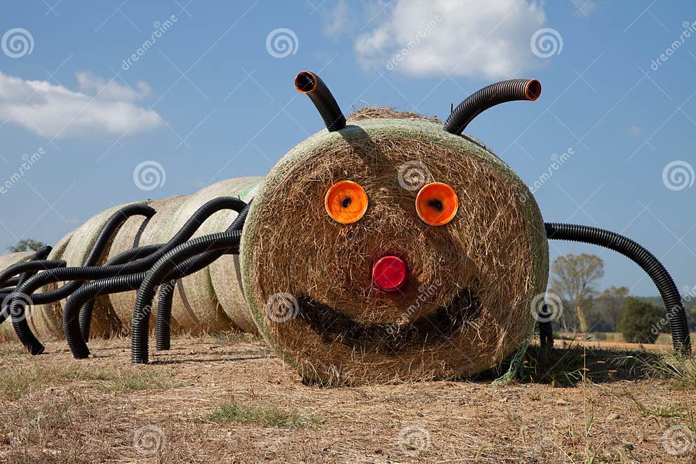 Fun hay stock image. Image of wheat, bale, expression - 16484683