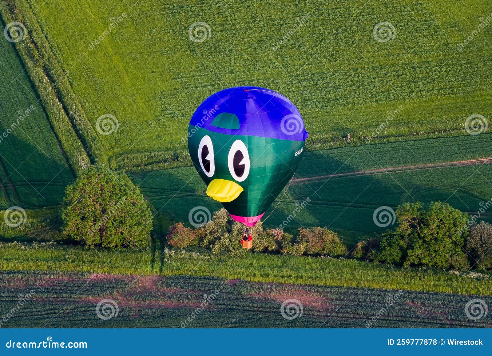 Fun Hot Air Balloon Over Fields Editorial Stock Photo - Image of ...