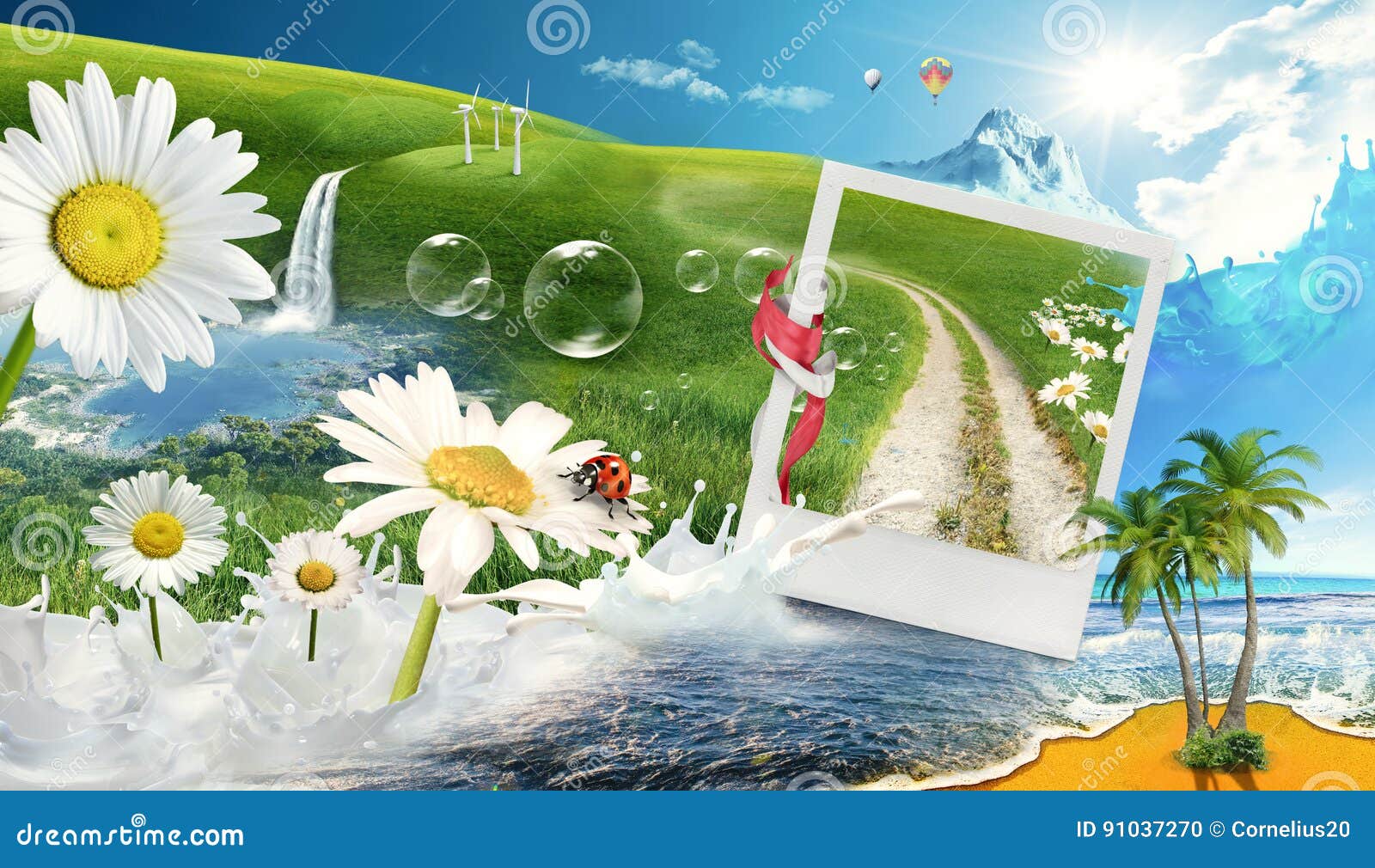 Fun landscape stock photo. Image of nature, palm, grass - 91037270