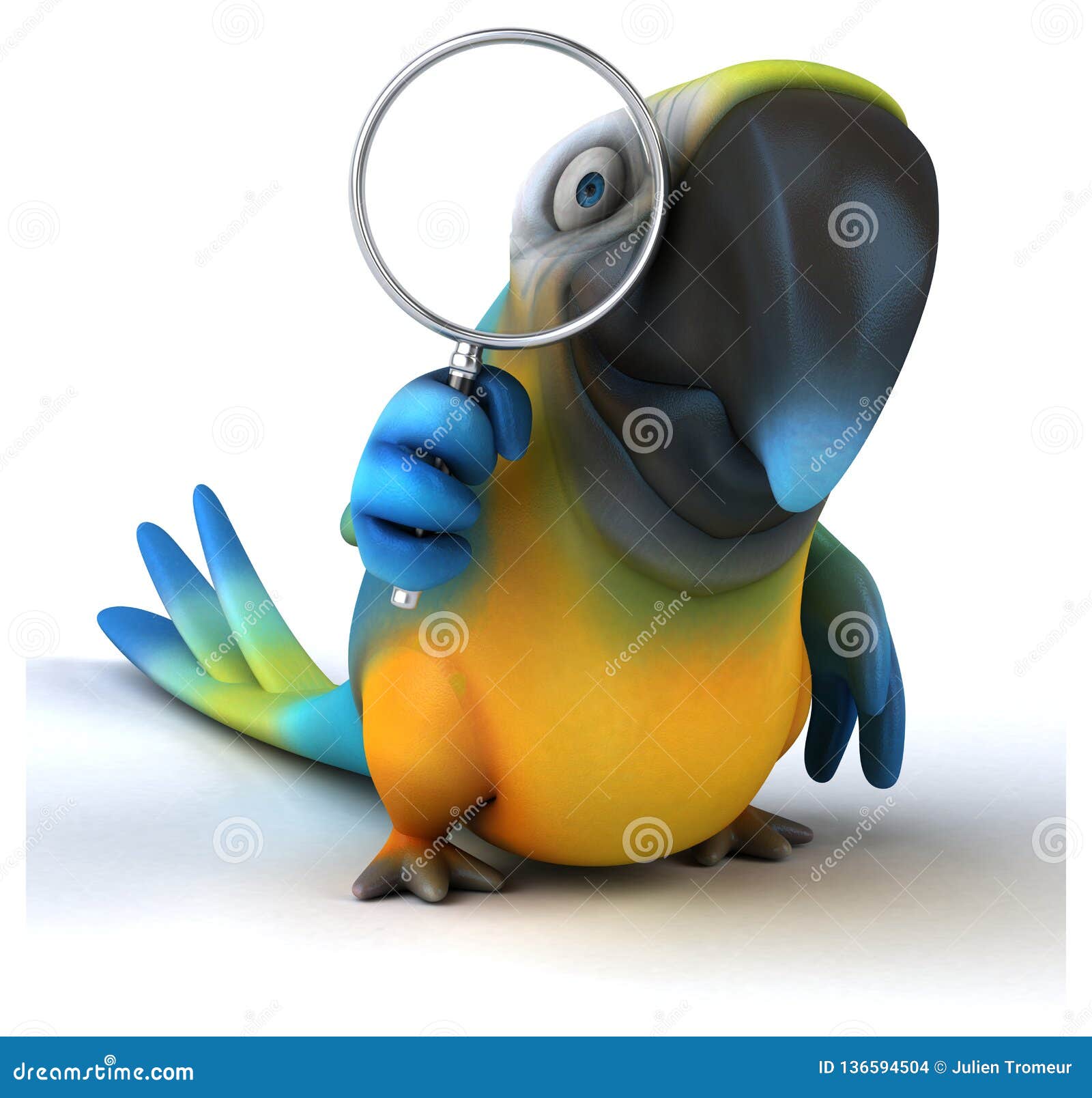 Fun parrot stock illustration. Illustration of domestic - 136594504