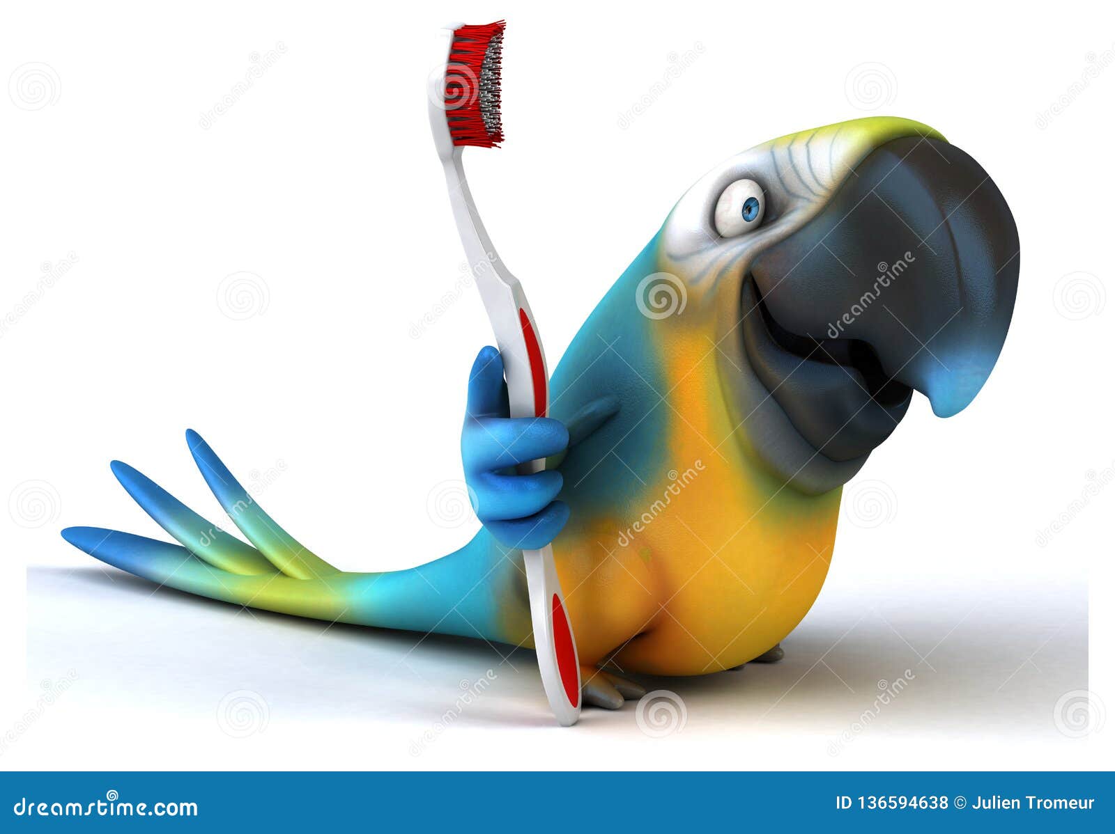Fun parrot stock illustration. Illustration of domestic - 136594638