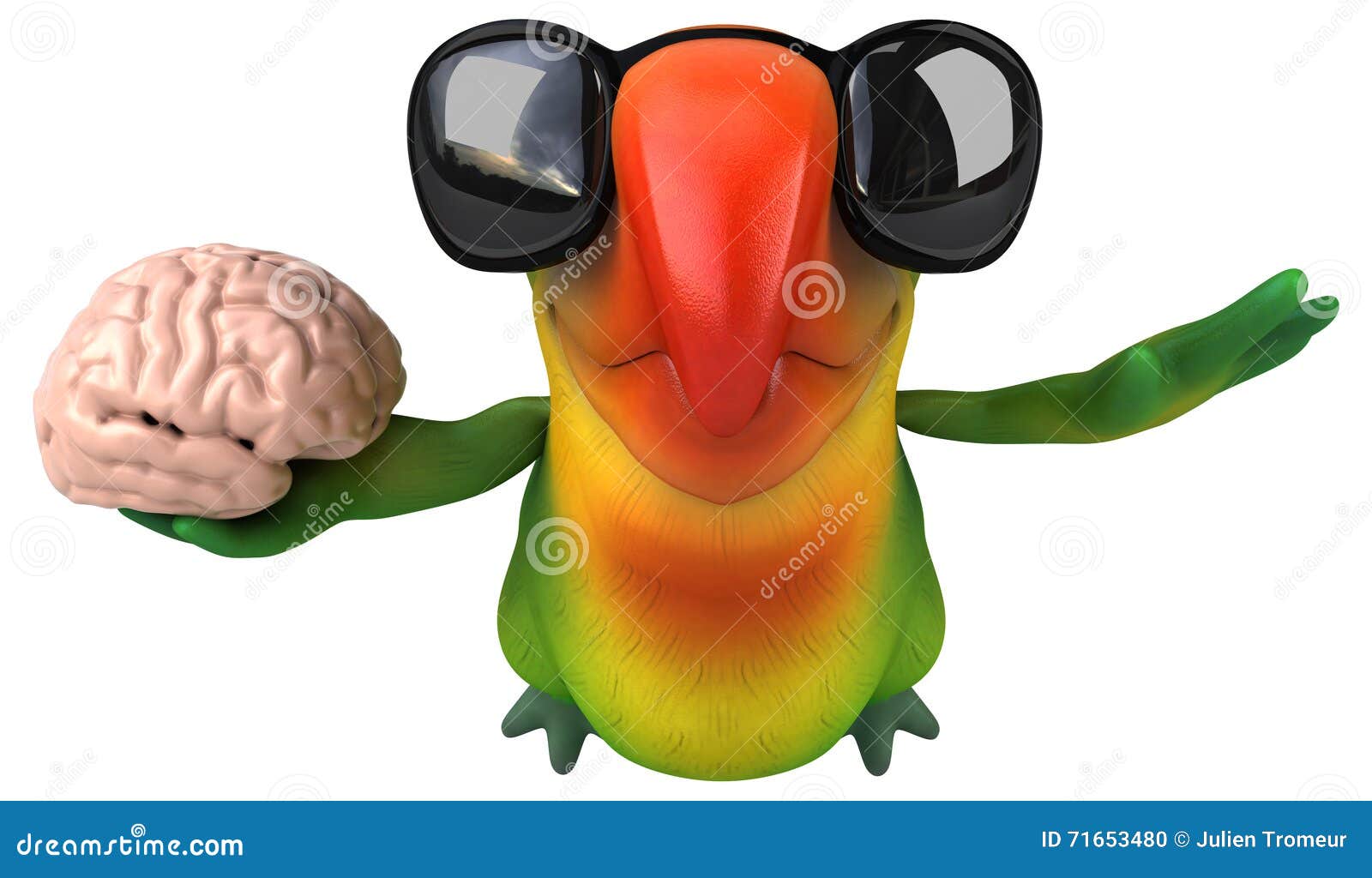Fun parrot stock illustration. Illustration of bird, funny - 71653480