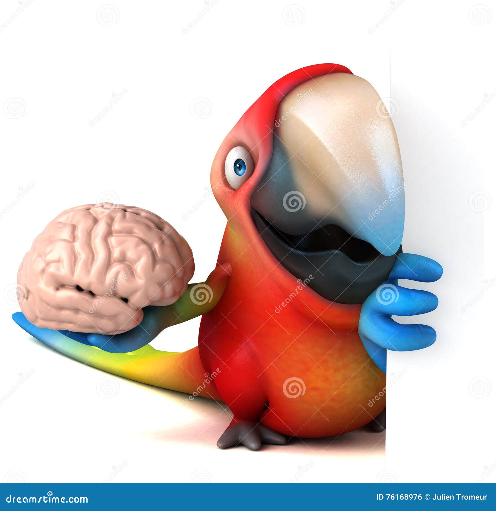 Avian Brain. The Main Anatomical Regions. Vector Illustration ...