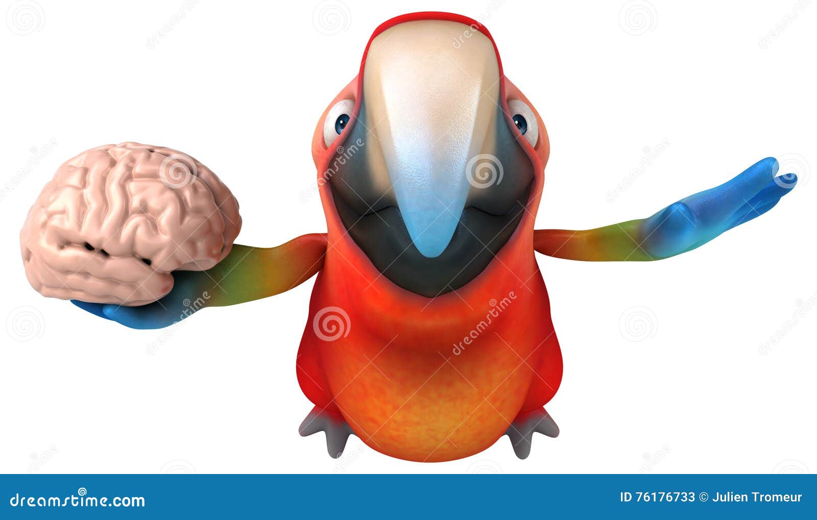 Avian Brain. The Main Anatomical Regions. Vector Illustration ...