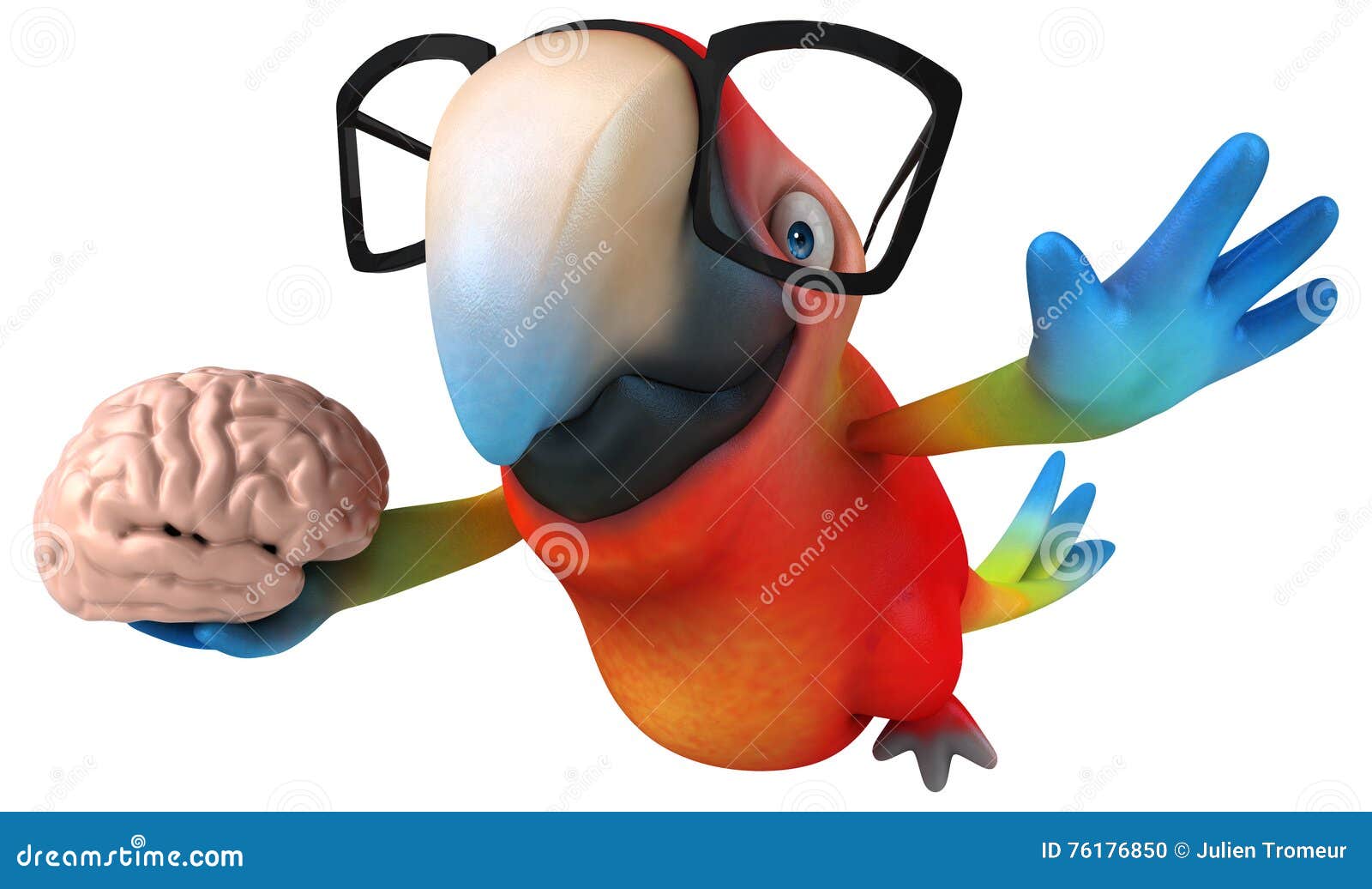 Avian Brain. The Main Anatomical Regions. Vector Illustration ...