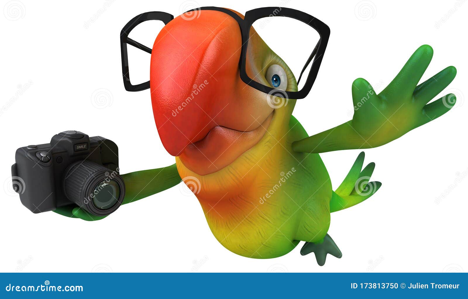 Fun parrot stock illustration. Illustration of vivid - 173813750