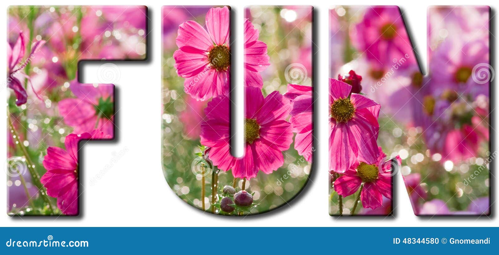 Fun Pink flowers stock photo. Image of blossom, garden - 48344580
