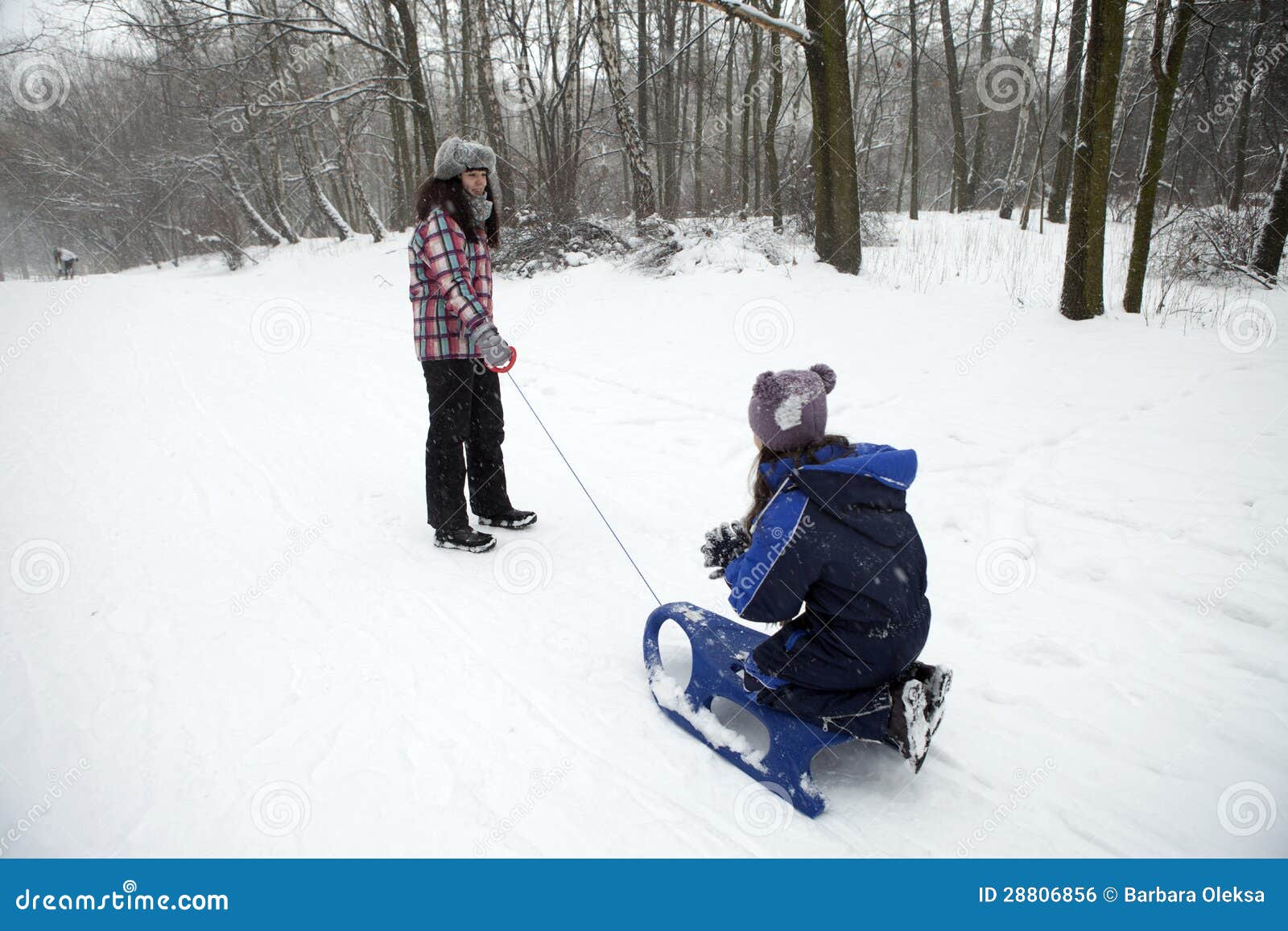 Fun in the snow stock photo. Image of male, girls, boys - 28806856