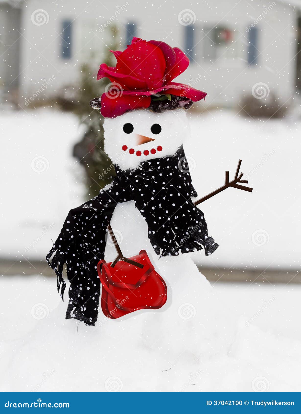 Fun Snowlady Red Rose Hat stock photo. Image of fashion - 37042100
