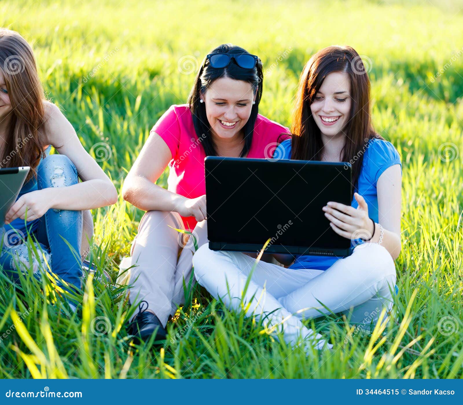 Fun on Social Network stock image. Image of network, outdoors - 34464515