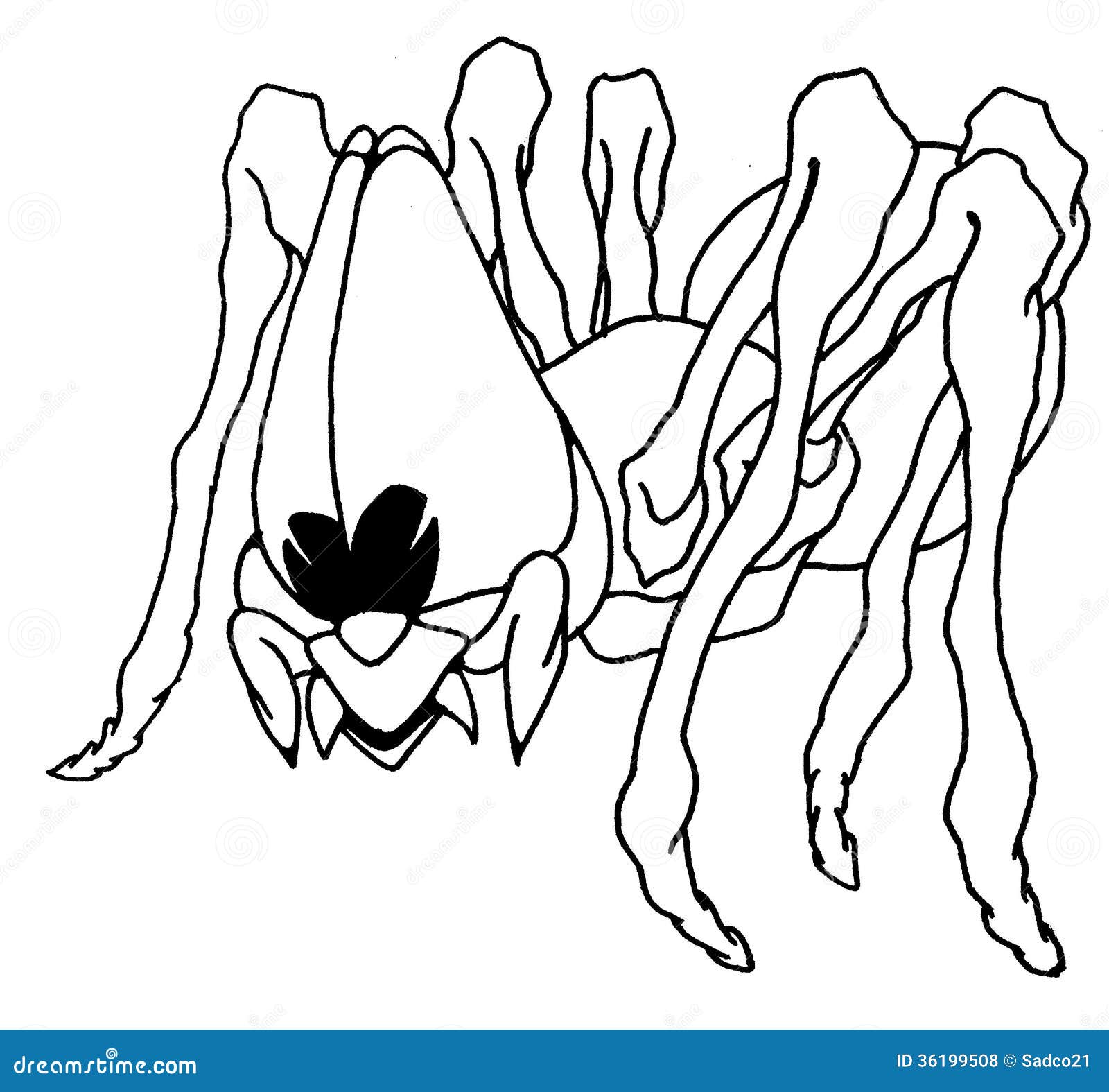 Fun spider stock illustration. Illustration of line, drawing - 36199508