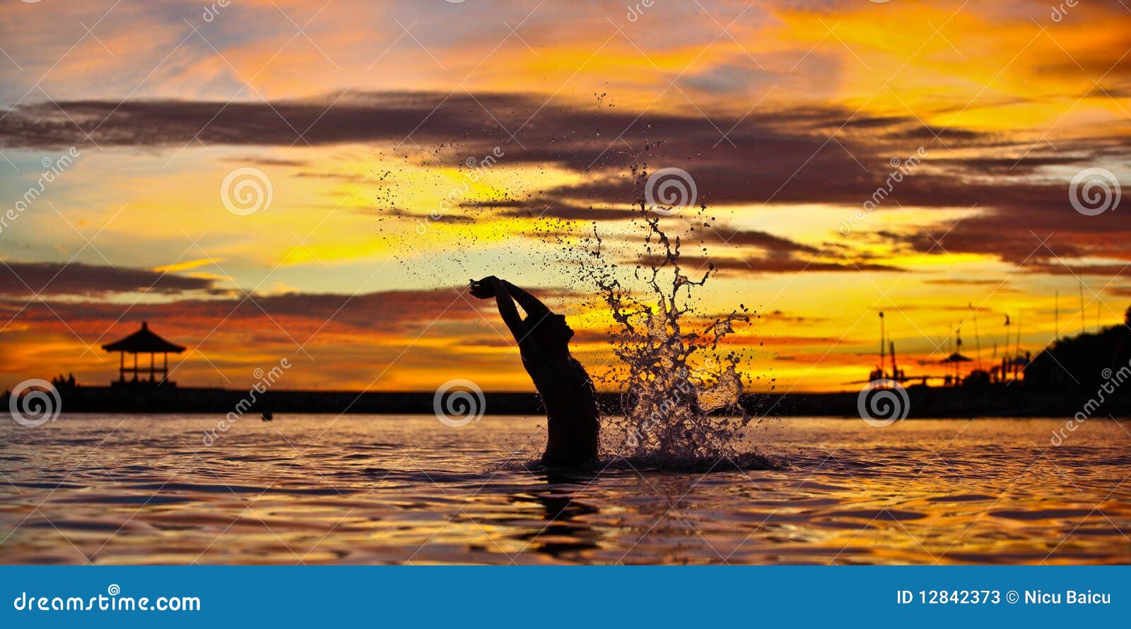 Fun at sunset stock image. Image of swim, tropical, swimming - 12842373