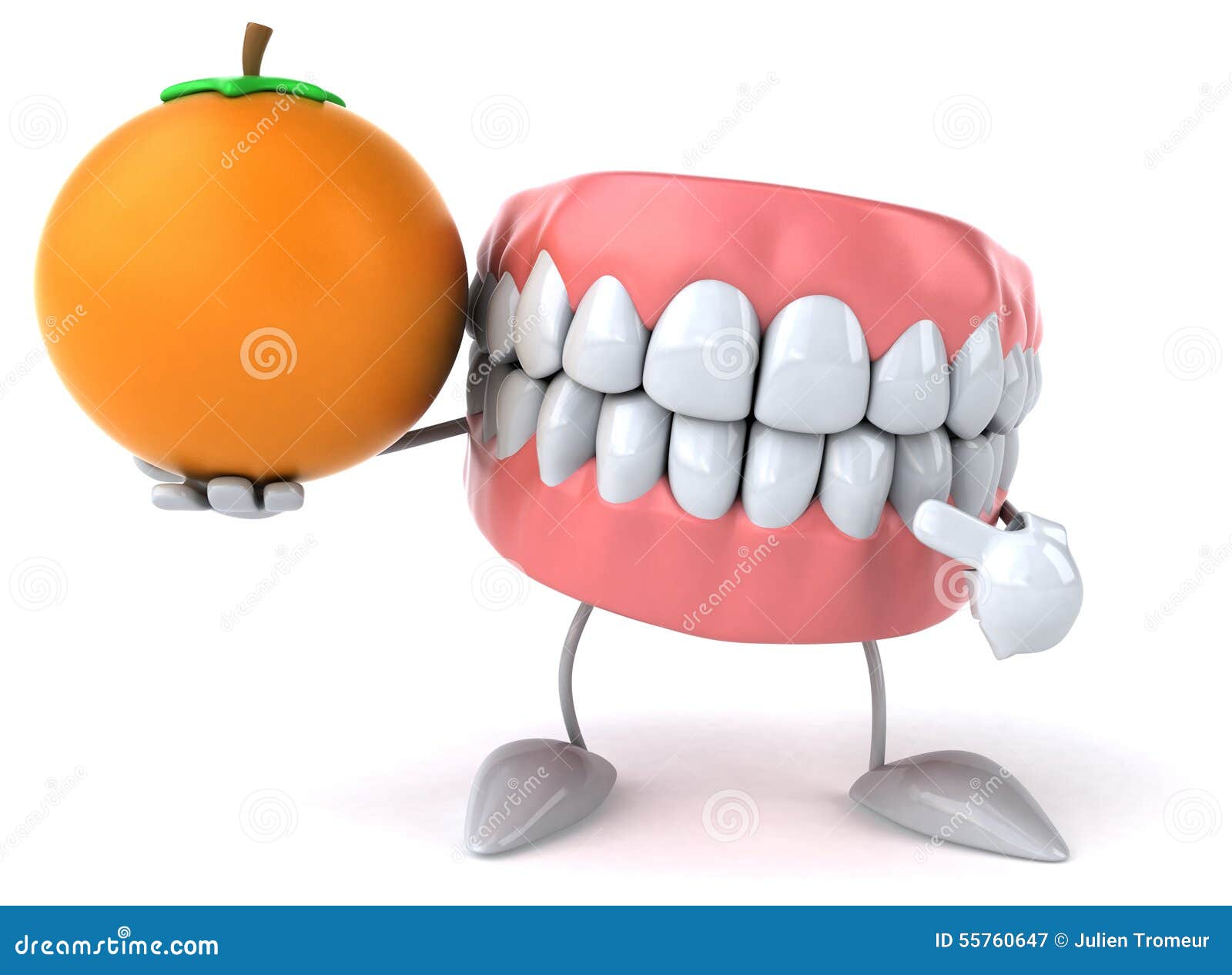 Fun teeth stock illustration. Illustration of smile, anatomy - 55760647