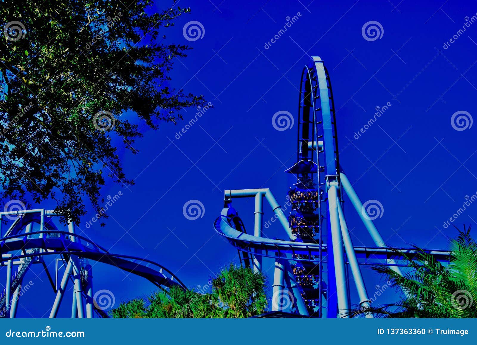 Fun time at the theme park editorial image. Image of birds - 137363360