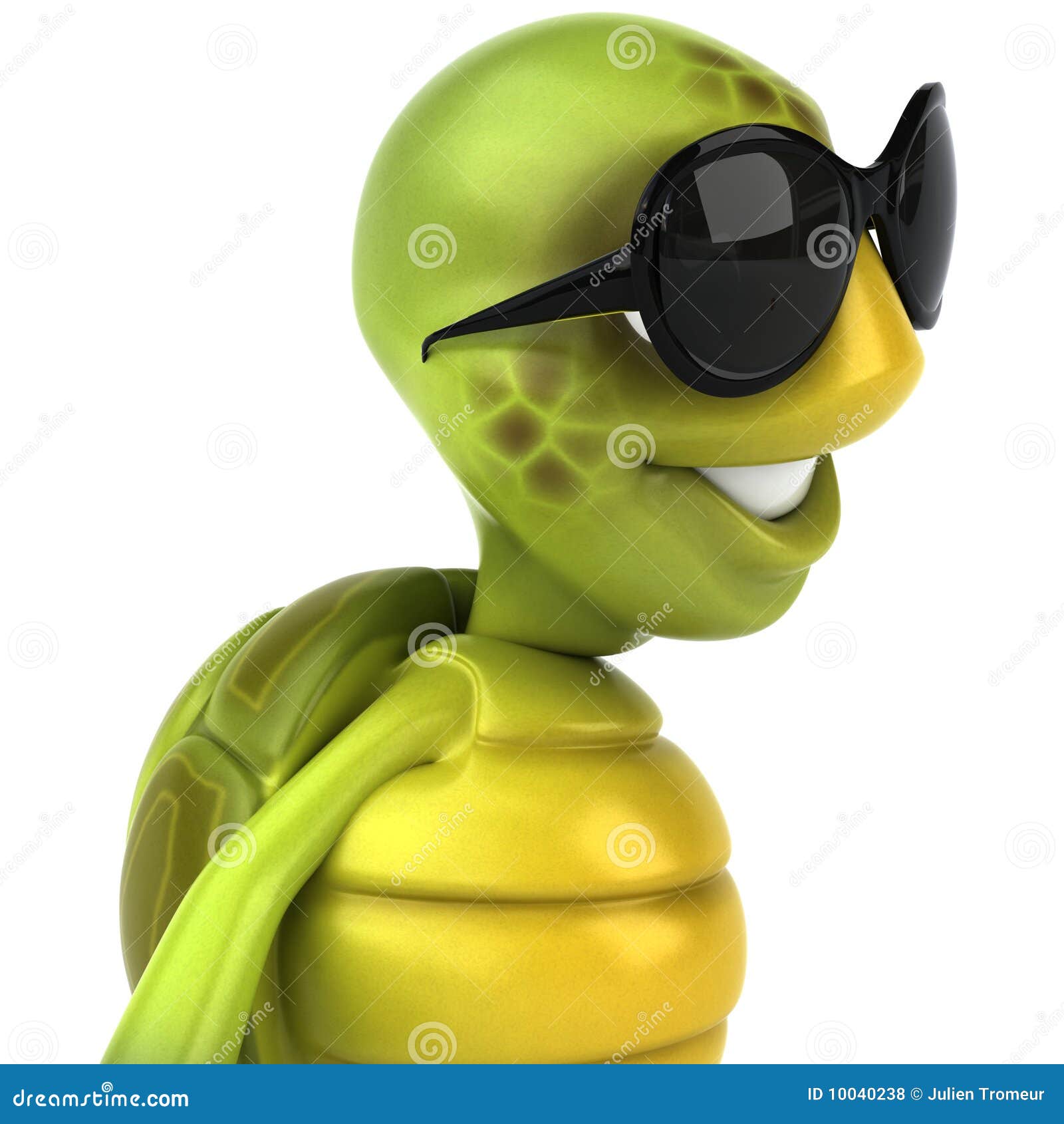 Fun turtle stock illustration. Illustration of creature - 10040238