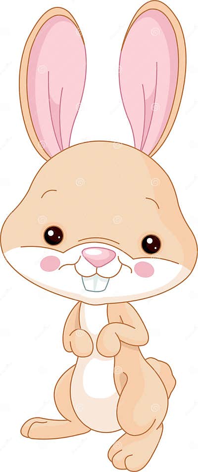 Fun zoo. Bunny stock vector. Illustration of safari, small - 24562384