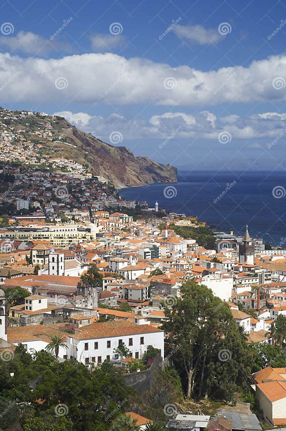 Funchal stock photo. Image of harbour, crag, fish, boat - 11630850