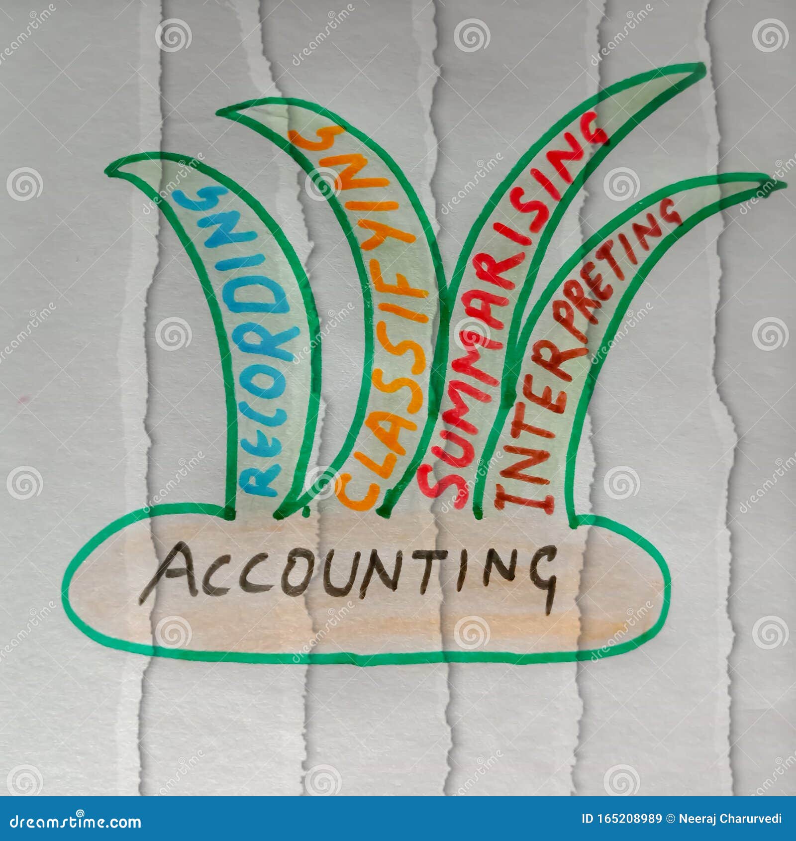 Function of Accounting Displayed on Plant Diagram Stock Image - Image ...