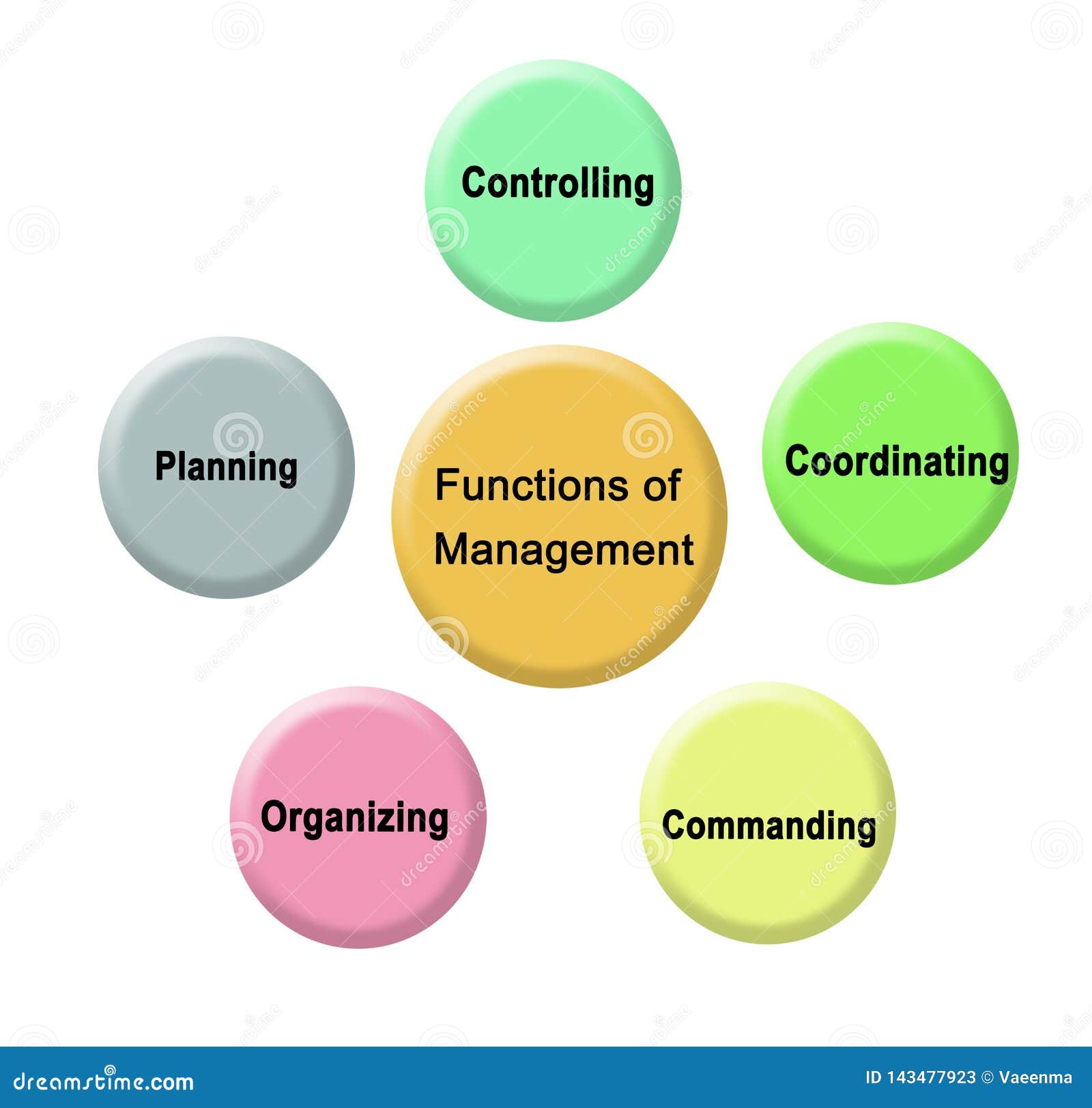 Function of Management stock illustration. Illustration of commanding ...