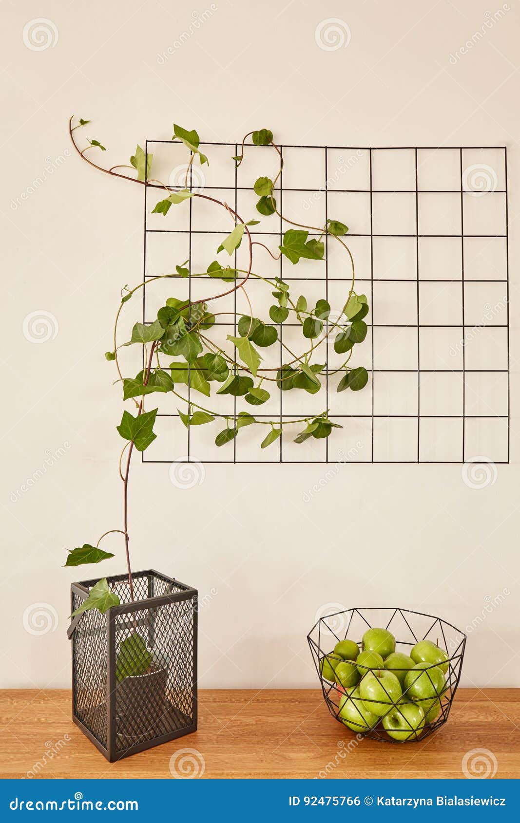 Functionable Stock Photos - Free & Royalty-Free Stock Photos from ...