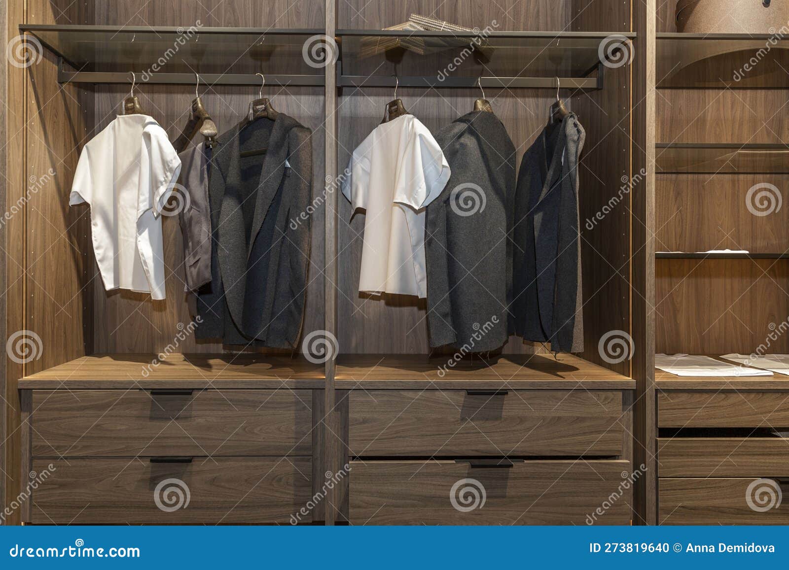 Functional Wooden Wardrobe. Design and Decor of Interiors Stock Photo ...