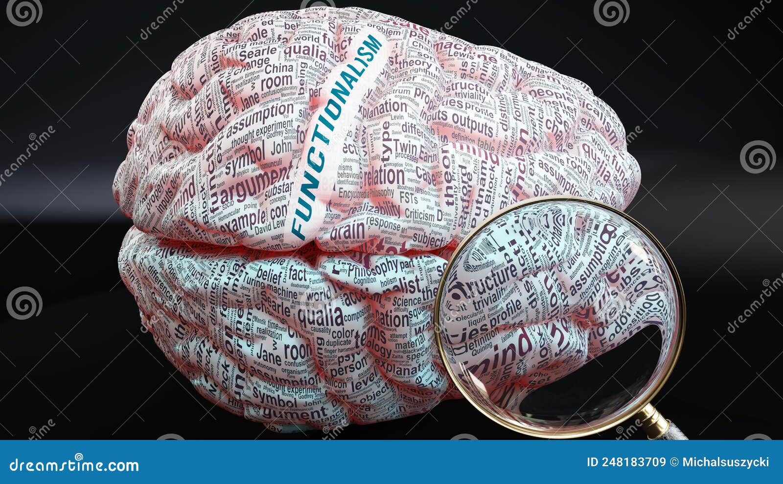 Functionalism in Human Brain Stock Image - Image of functionalism ...