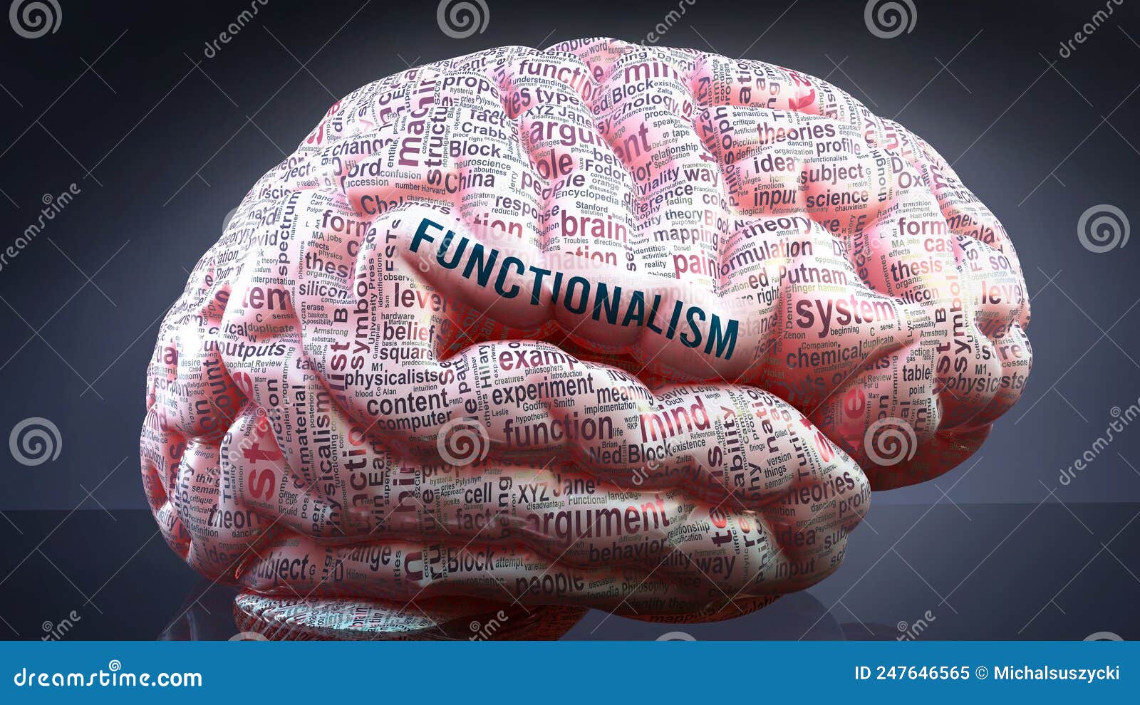 Functionalism and a Human Brain Stock Illustration - Illustration of ...