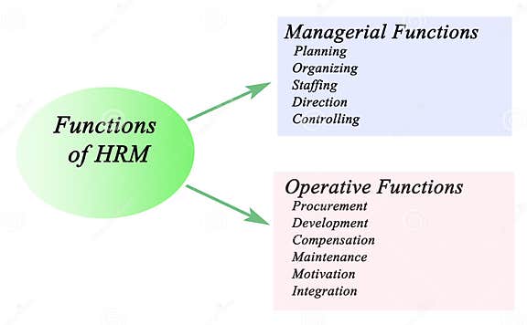 Functions of HRM stock illustration. Illustration of human - 97295146