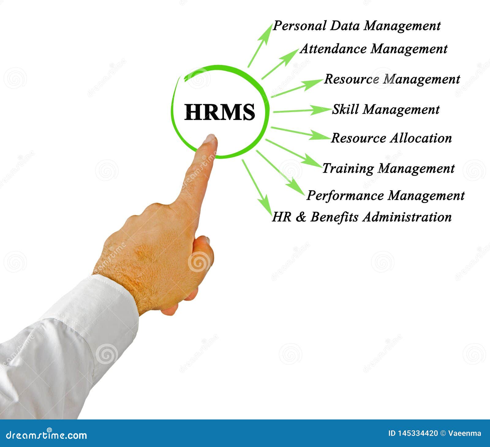 Human Resource Management System Stock Illustration - Illustration of ... Human Resource Management System Stock Illustration - Illustration of ...