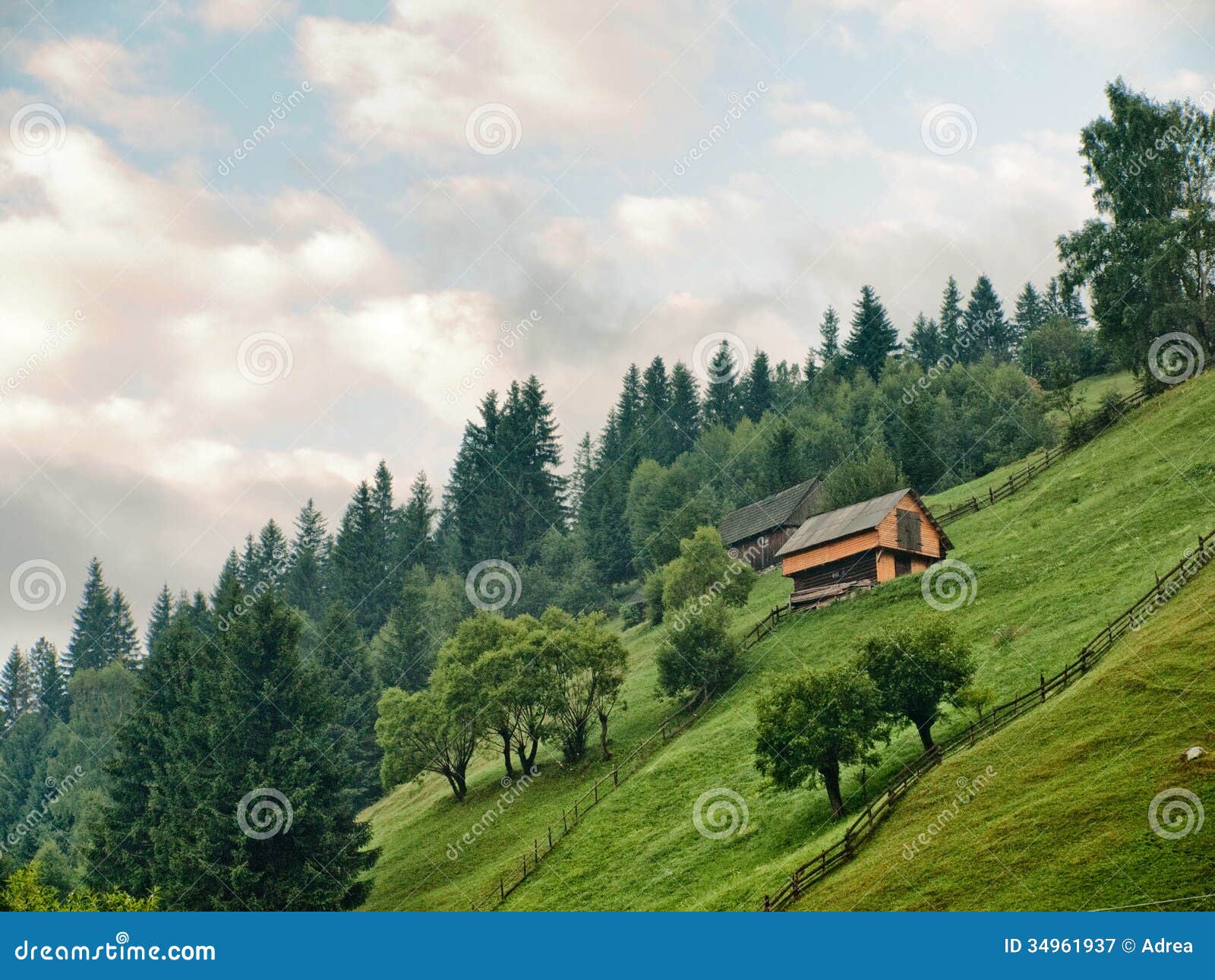 Fundatica imagen de archivo. Imagen de verde, planta - 34961937