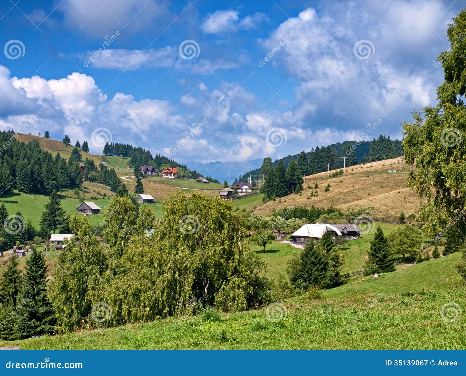 Fundatica imagen de archivo. Imagen de planta, verde - 35139067