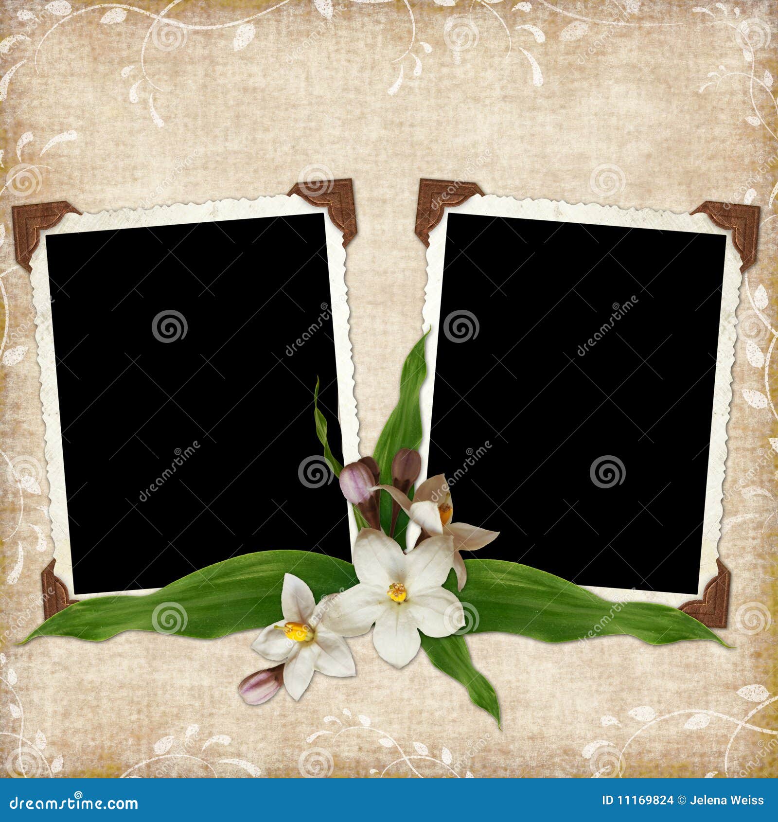 Fundo com frames e flores ilustração stock. Ilustração de papel - 11169824