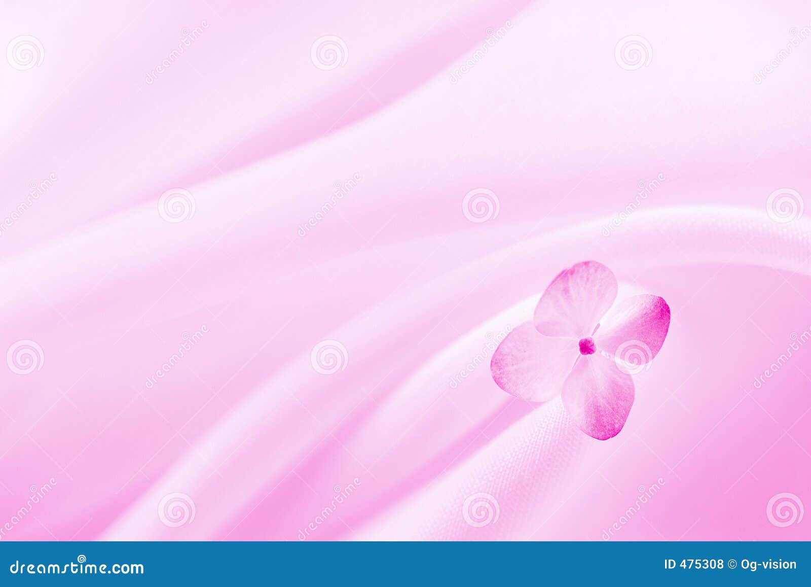 Fundo cor-de-rosa com flor foto de stock. Imagem de tela - 475308