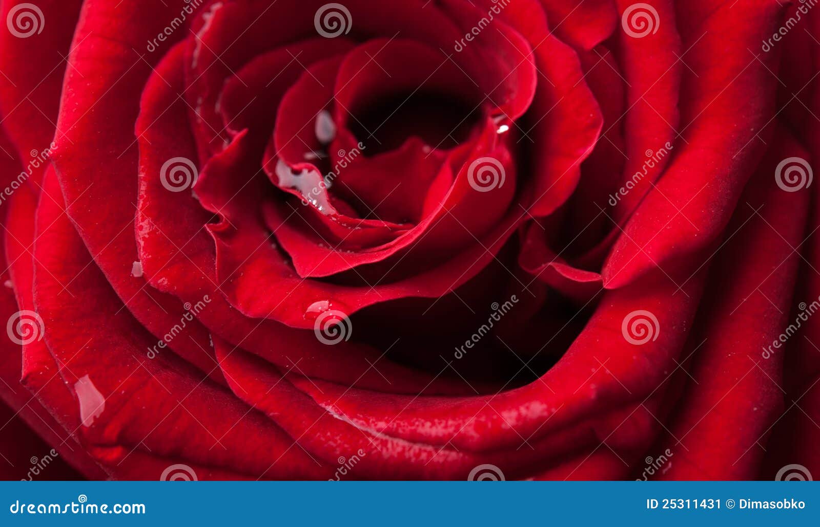 Fundo Cor-de-rosa Do Vermelho Imagem de Stock - Imagem de romântico ...