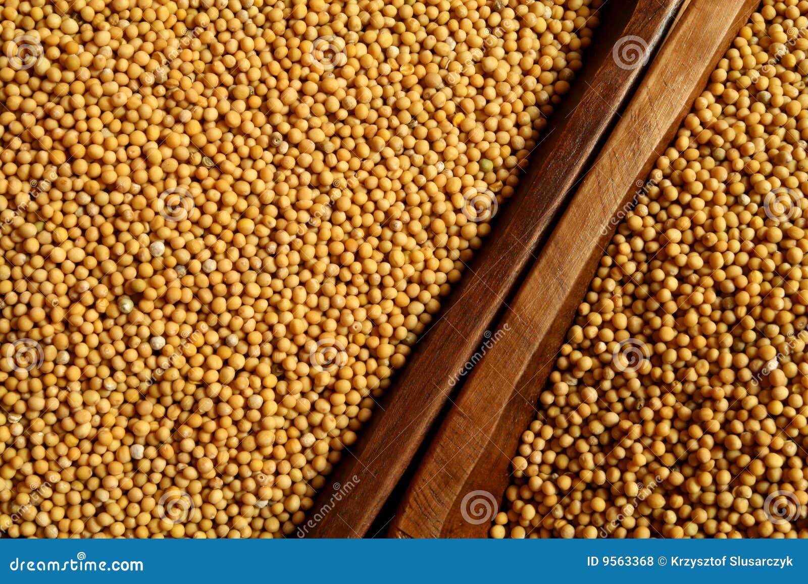 Fundo da mostarda foto de stock. Imagem de sementes, mostarda - 9563368