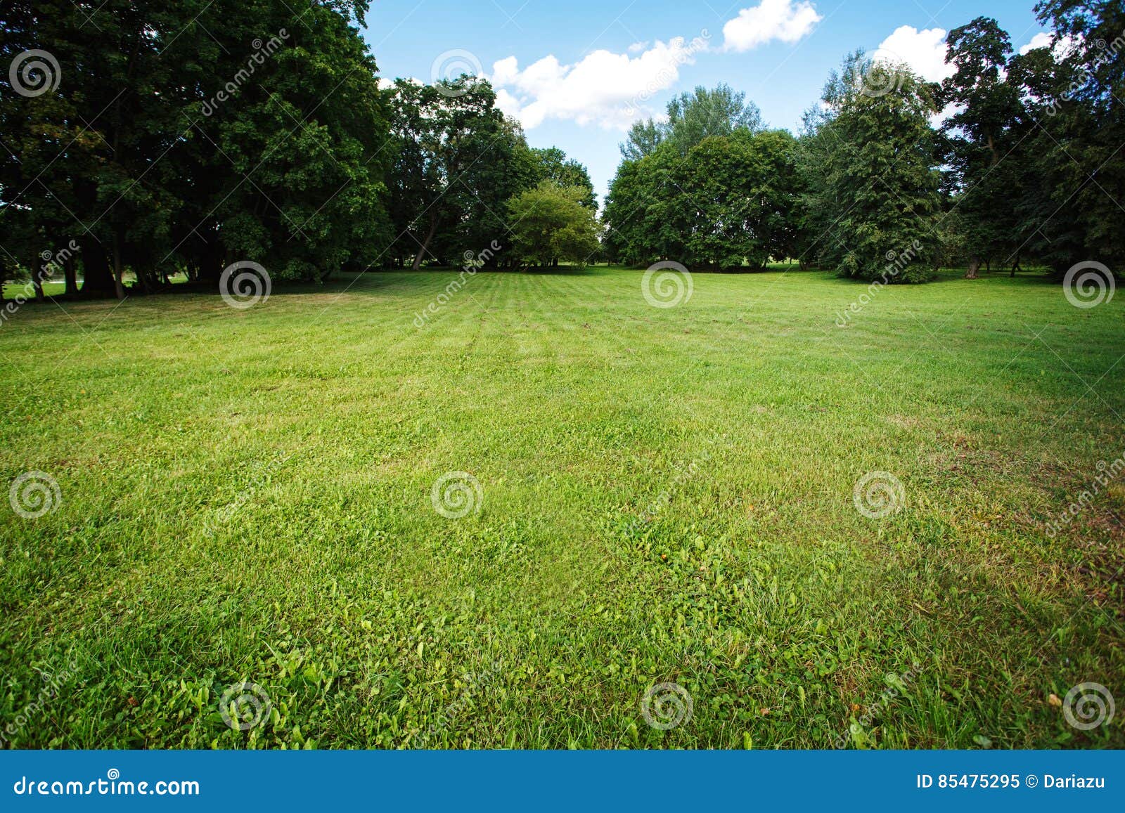 Fundo Da Natureza, Parque Com Prado Imagem de Stock - Imagem de ...