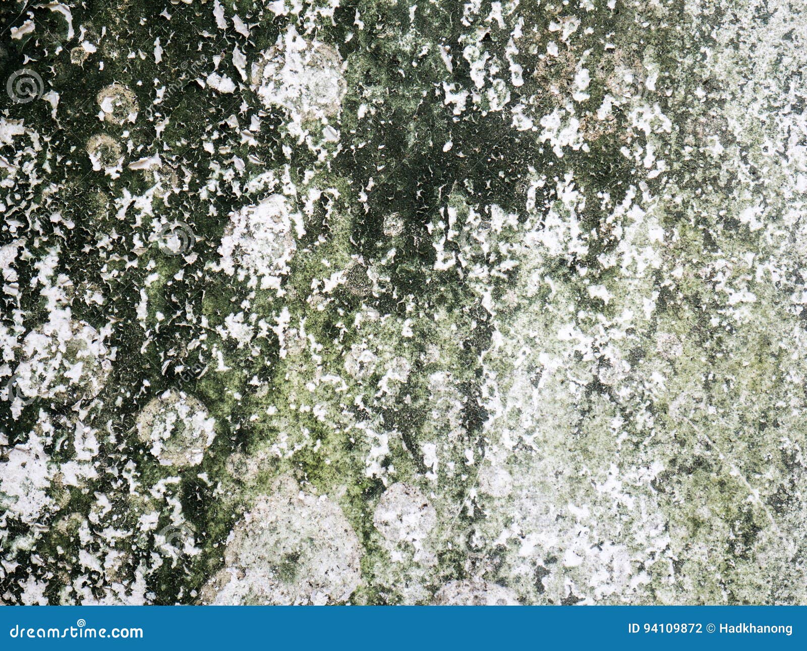 Fundo Da Parede Do Cimento Da Textura Com Musgo Foto de Stock - Imagem ...