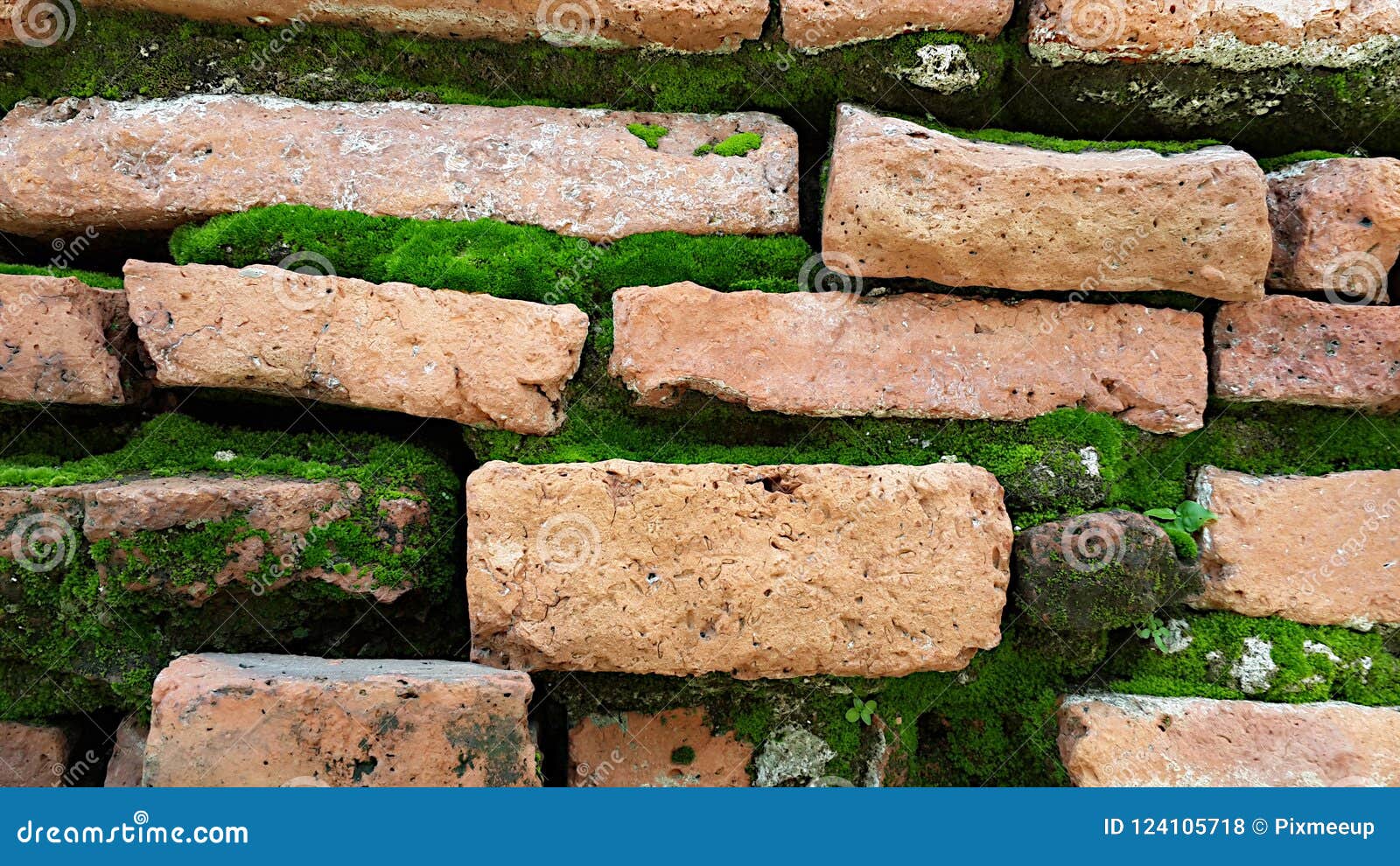 Fundo Da Parede Do Tijolo E Do Musgo Foto de Stock - Imagem de ...