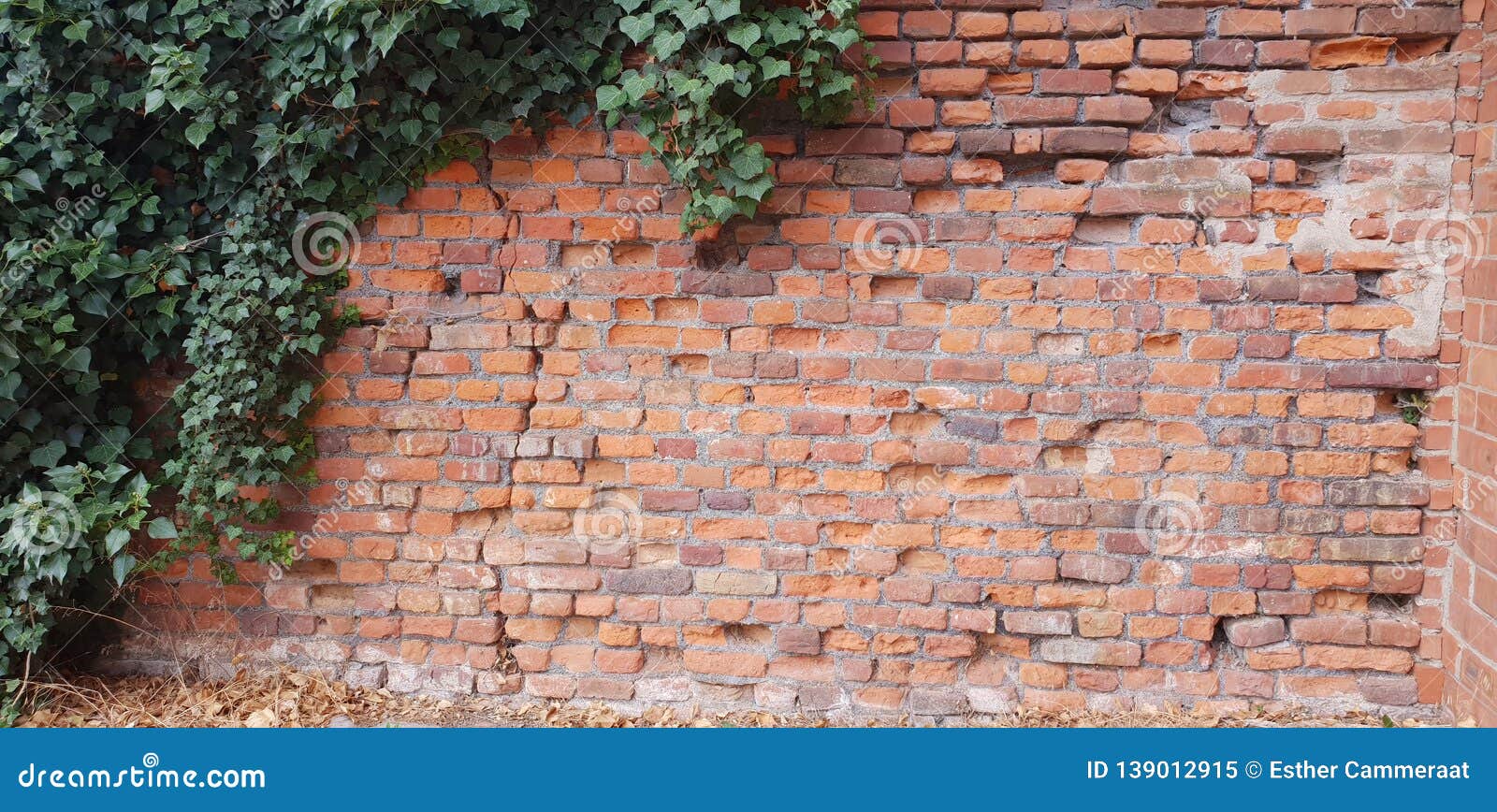 Fundo da parede imagem de stock. Imagem de parede, fundo - 139012915