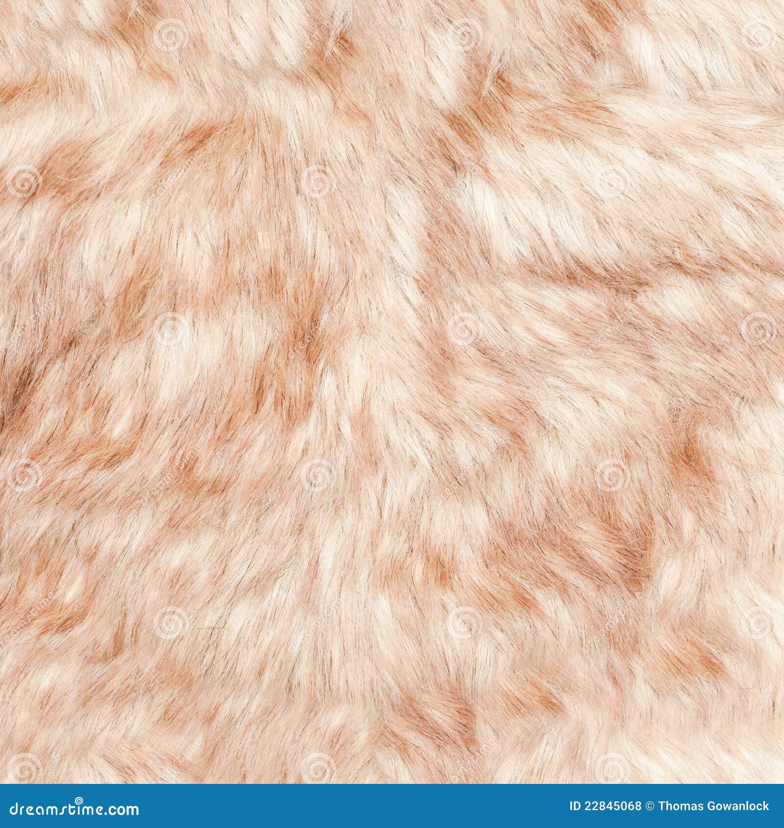 Fundo da pele foto de stock. Imagem de marrom, cabelo - 22845068