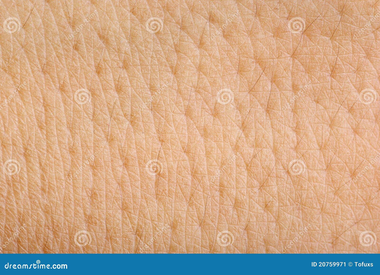 Fundo da textura da pele. imagem de stock. Imagem de liso - 20759971