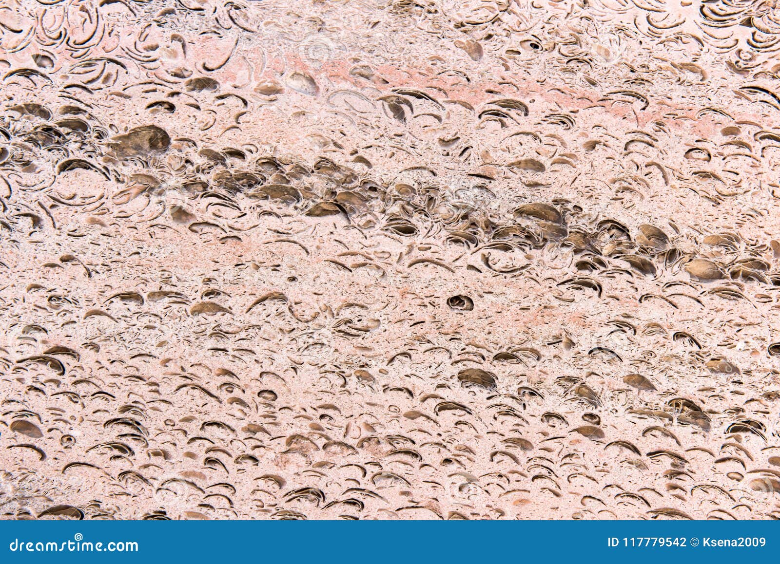 Fundo Da Textura Da Rocha Do Shell Foto de Stock - Imagem de fundo ...