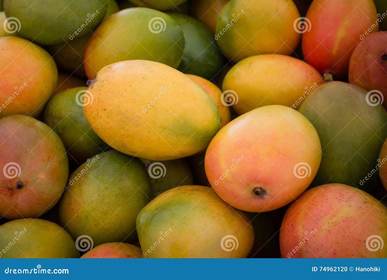 Fundo Das Manga - Fruto Da Manga Foto de Stock - Imagem de mercado ...