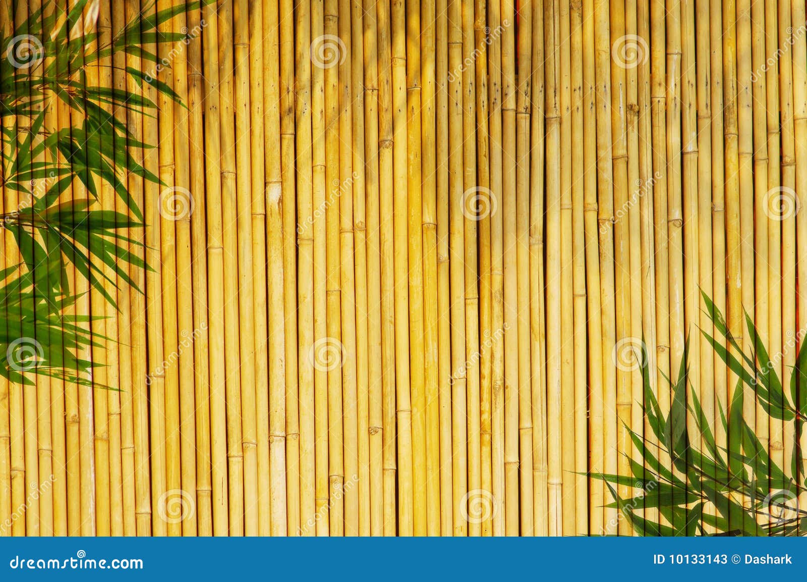 Fundo de bambu imagem de stock. Imagem de nave, backdrop - 10133143