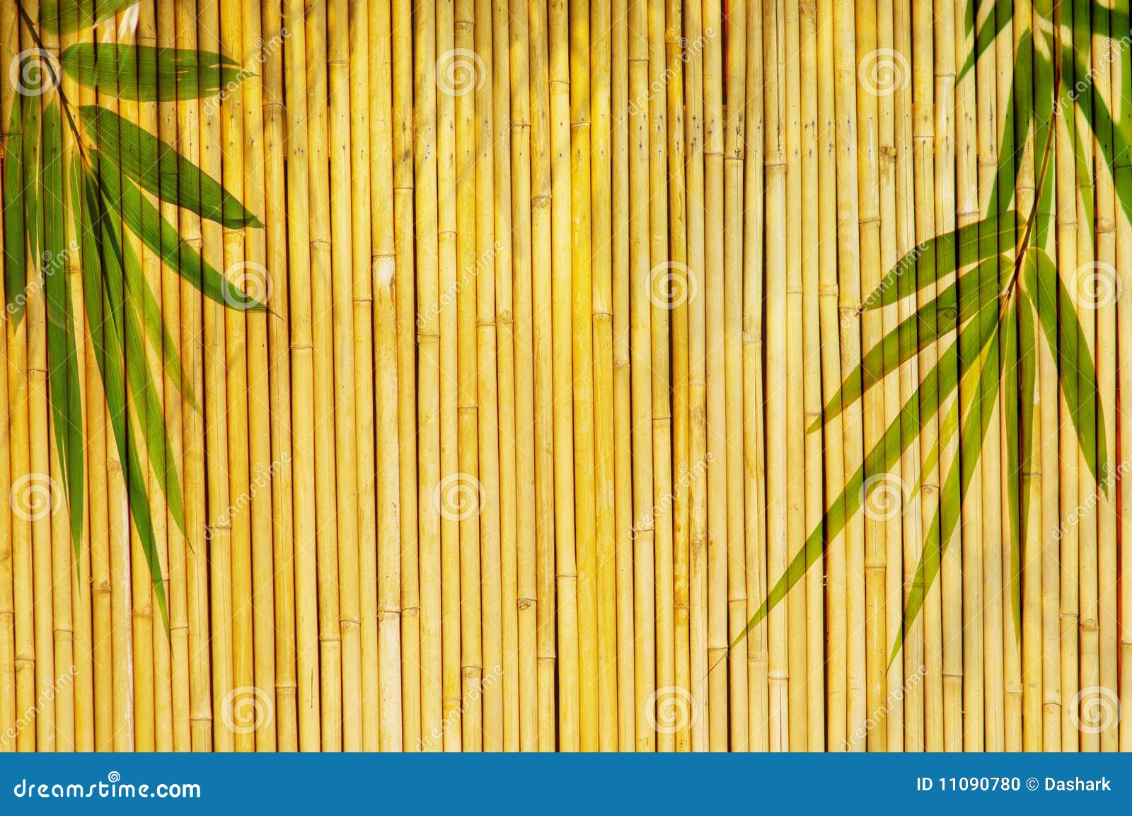 Fundo de bambu foto de stock. Imagem de backdrop, estilo - 11090780