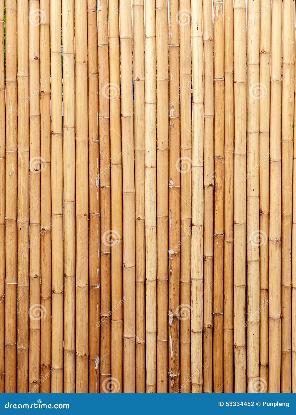 Fundo De Bambu De Brown, Cor Natural Foto de Stock - Imagem de ...