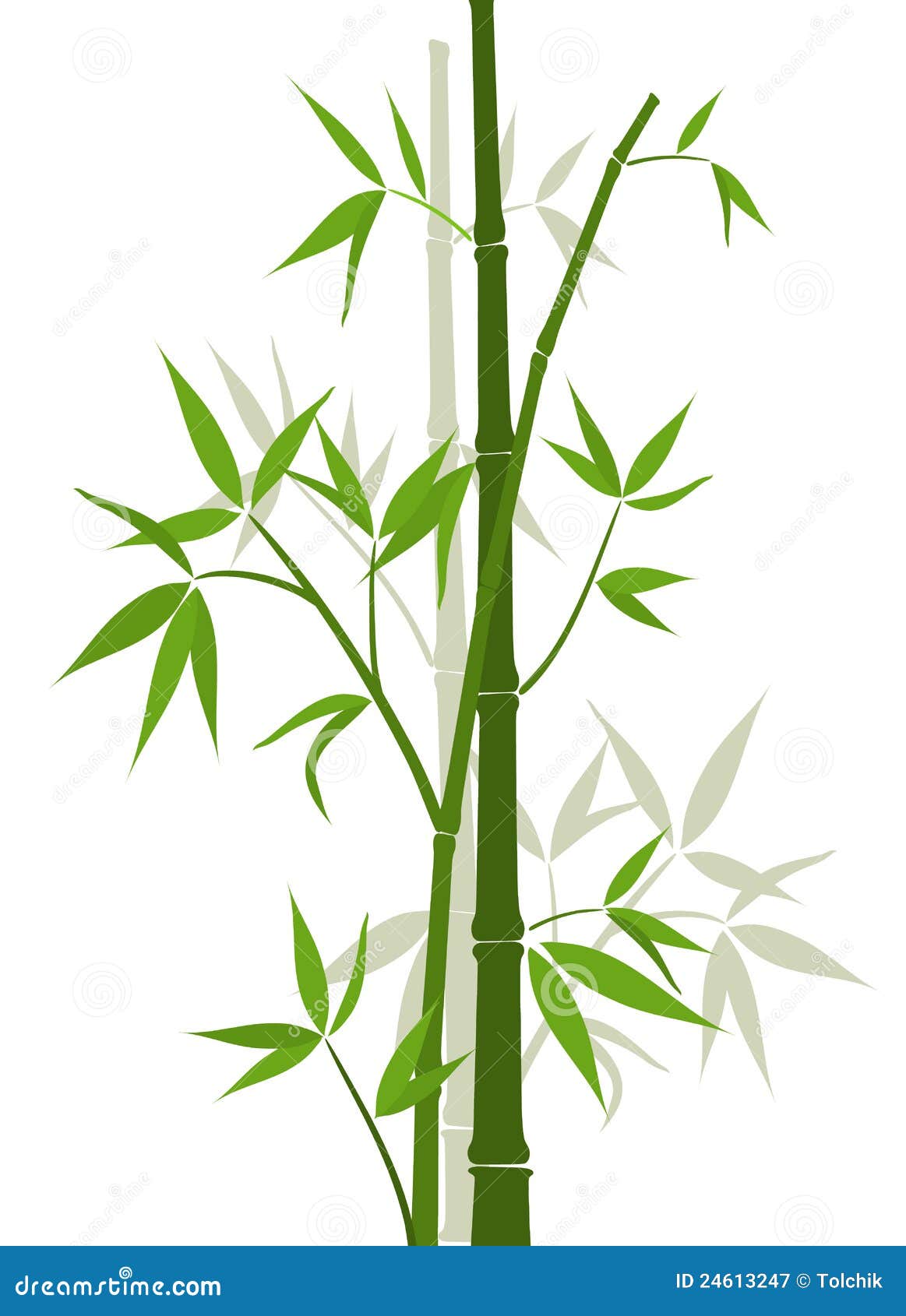 Fundo de bambu, vetor ilustração do vetor. Ilustração de crescimento ...